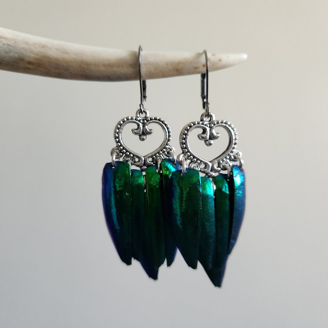 Real Elytra Beetle Wings Earrings/oddities/witchy/beetle - Etsy