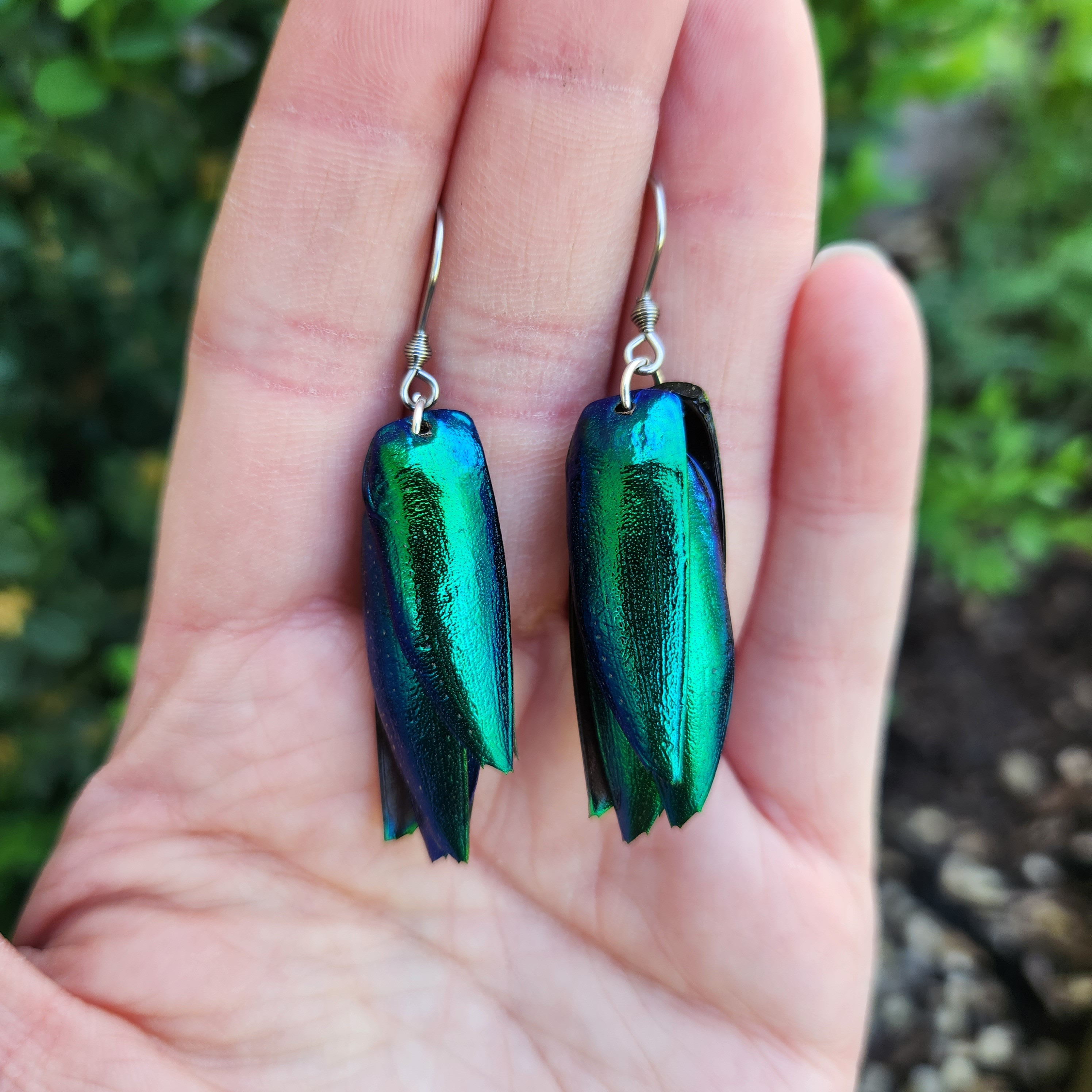 Real Elytra Beetle Wings Earrings Insect Wing Jewelry - Etsy