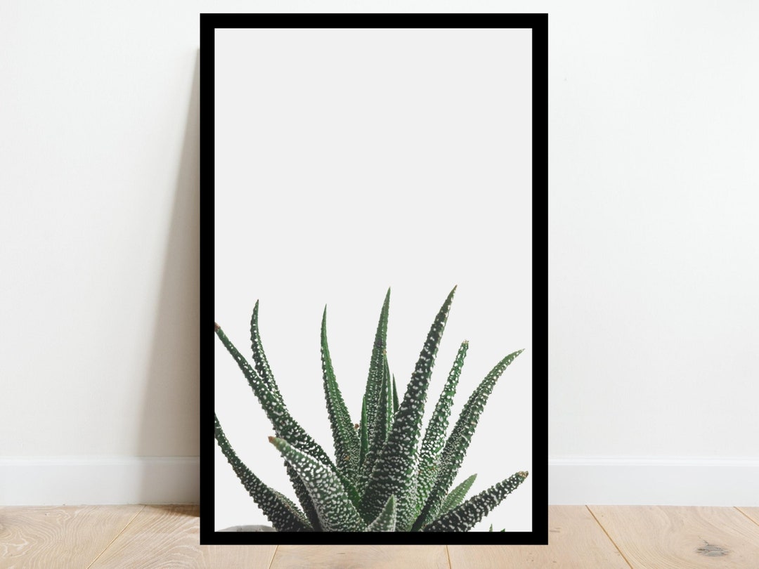 Aloe Vera Leaf Printable Wall Art, Home Decor, Green Art Exotic ...