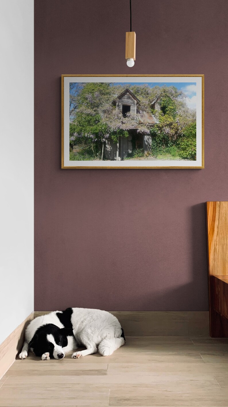 Overgrown Lilac Bush Cascades Over Old House. Printable Art, Horizontal ...