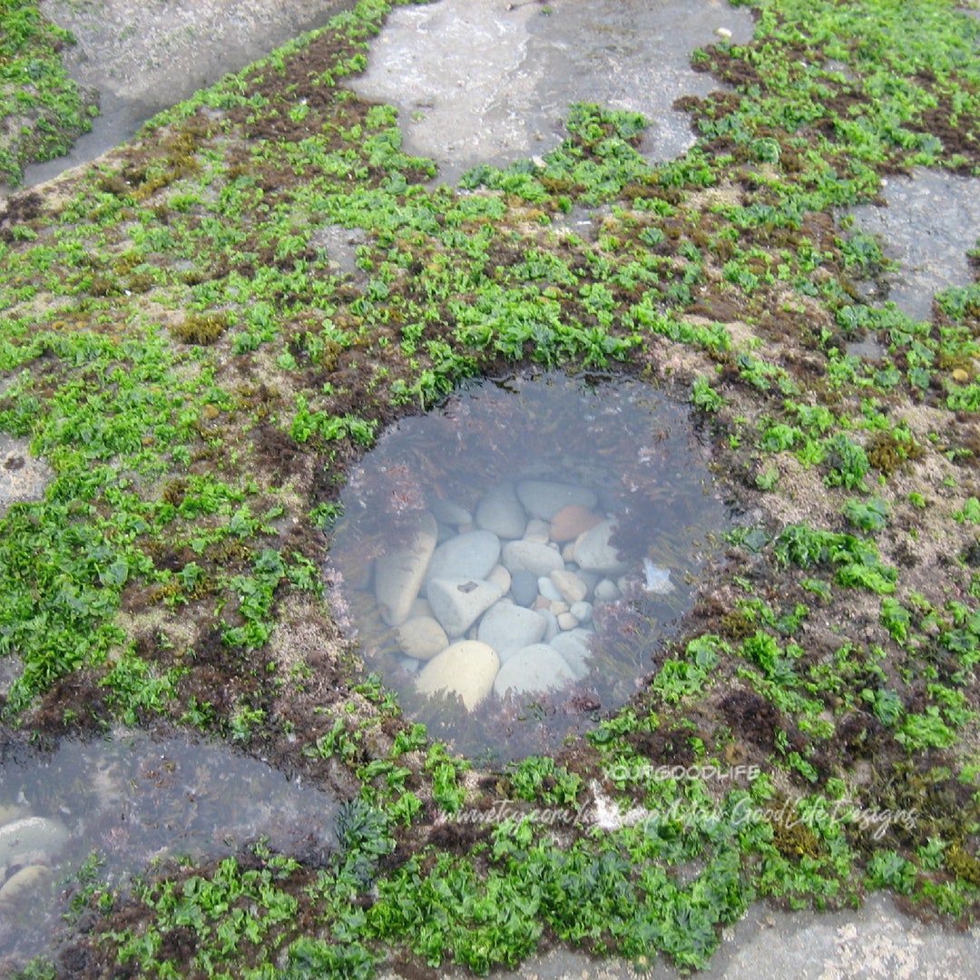 Rock Pool Print 2. Digital Print of Rock Pool, Printable Art in Digital ...