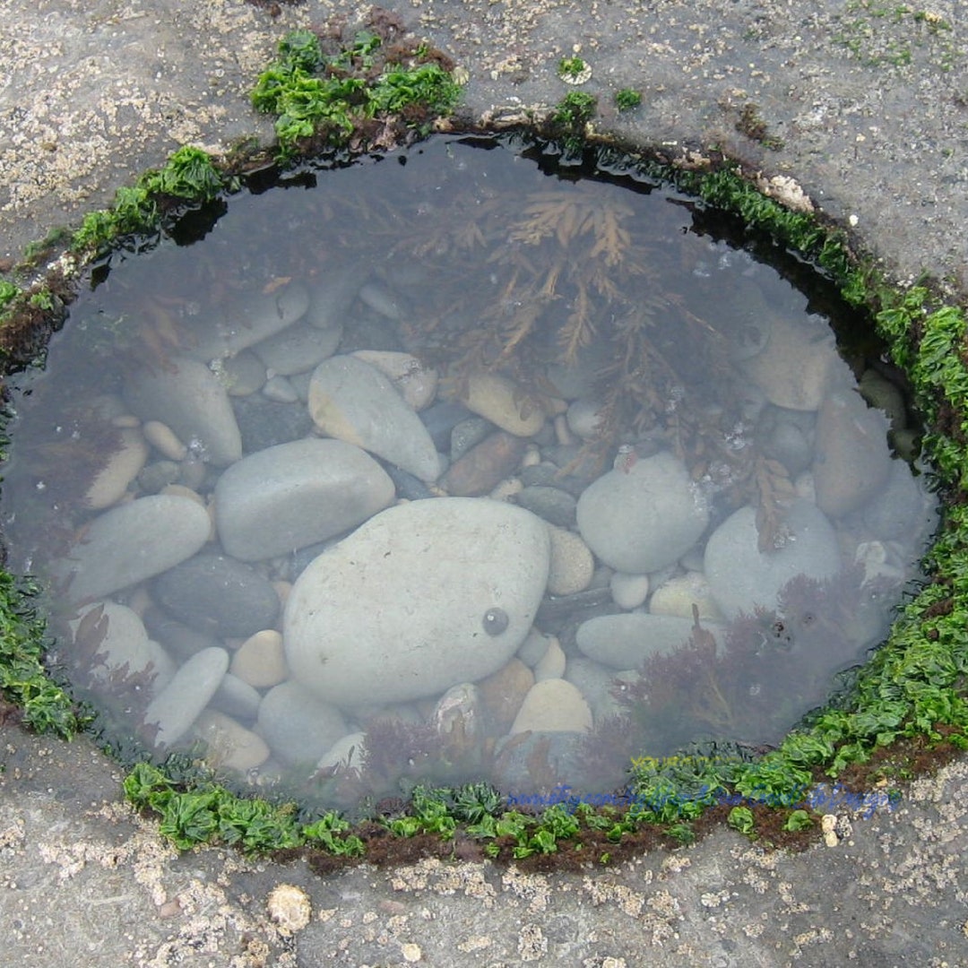 Rock Pool Digital Print. Printable Art in Digital Download Format ...