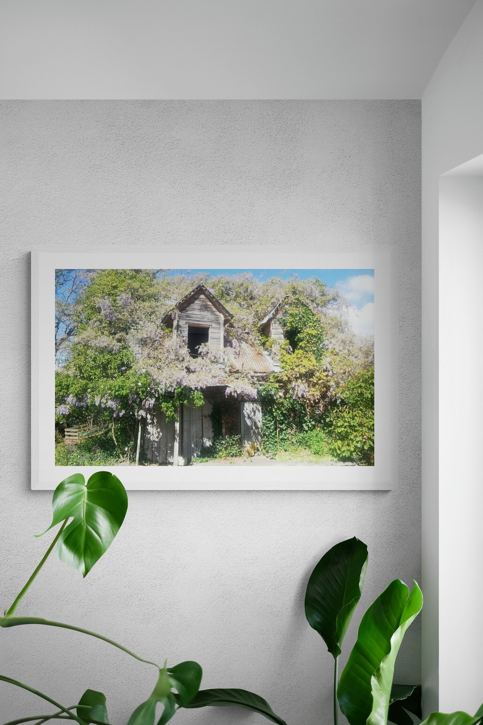 Overgrown Lilac Bush Cascades Over Old House. Printable Art, Horizontal ...