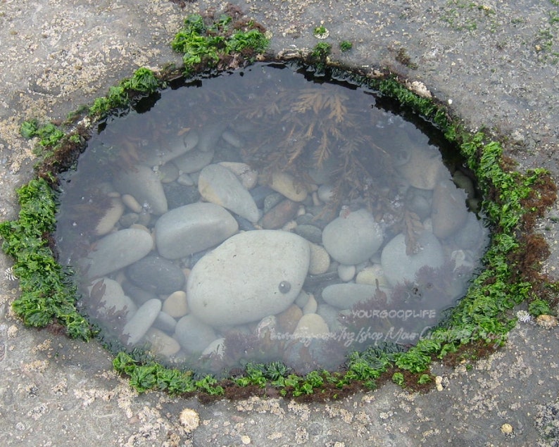 Rock Pool Digital Print. Printable Art in Digital Download Format ...