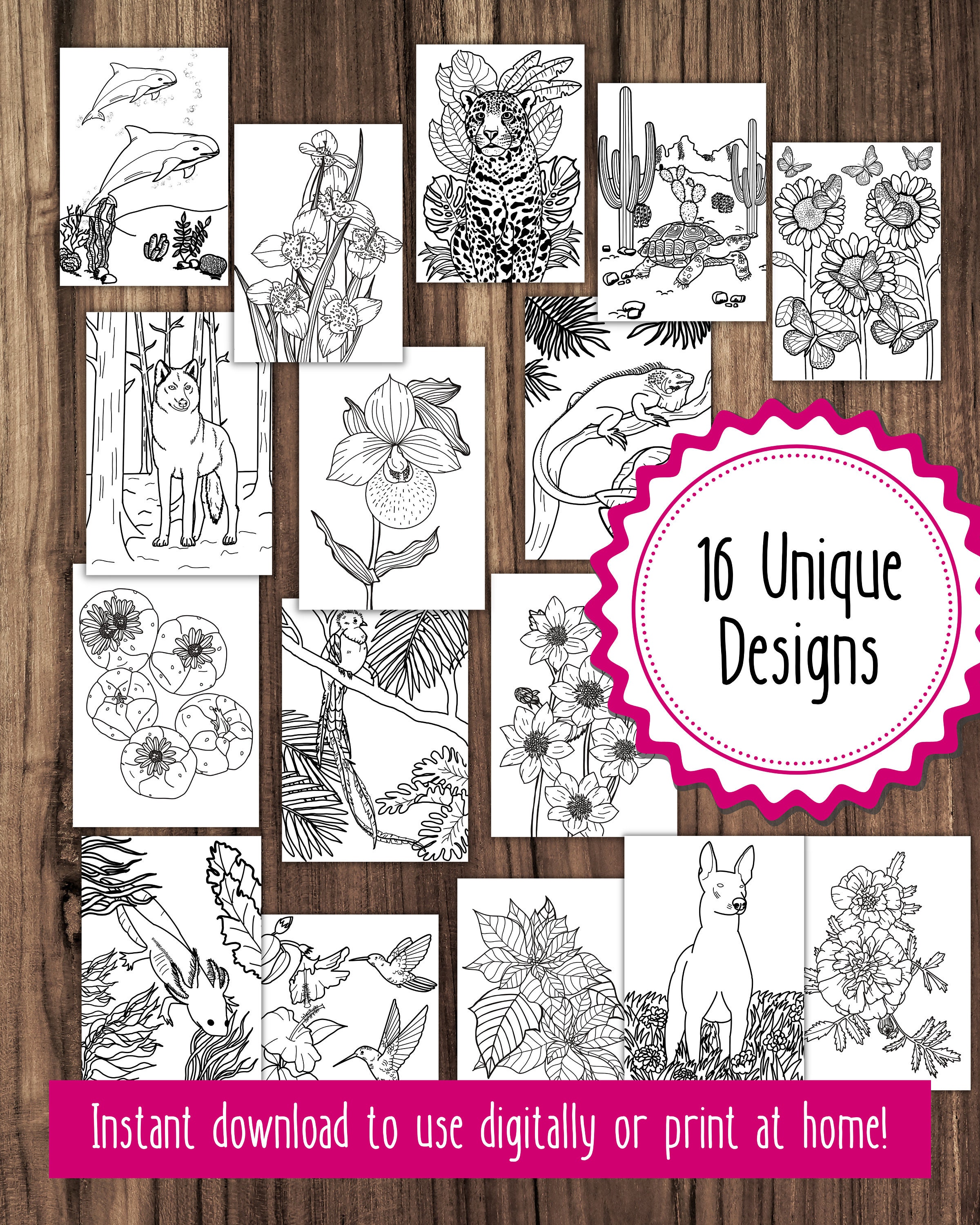 16 Mexican Nature Coloring Pages, Mexico Nature Coloring Pages Bundle ...