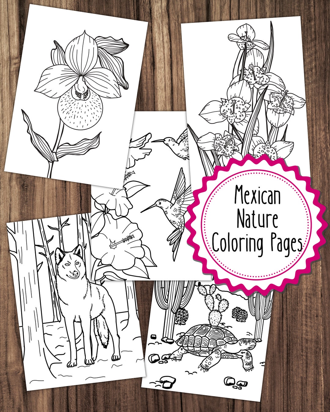16 Mexican Nature Coloring Pages, Mexico Nature Coloring Pages Bundle ...
