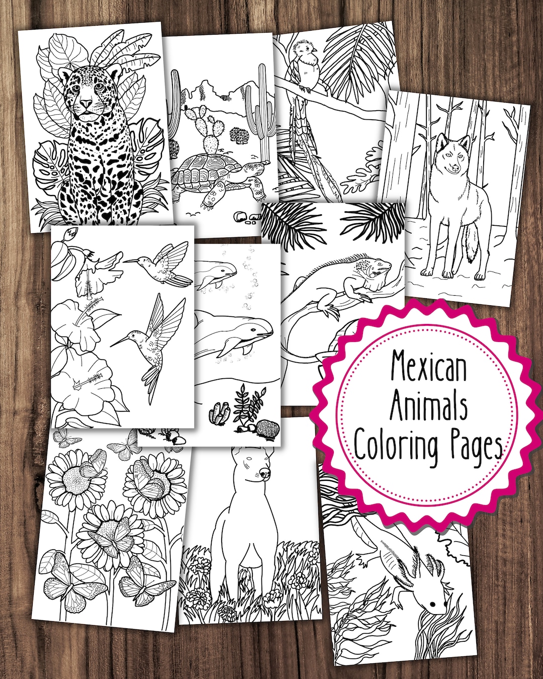 10 Mexican Animals Coloring Pages, Mexico Nature Coloring Pages Bundle ...