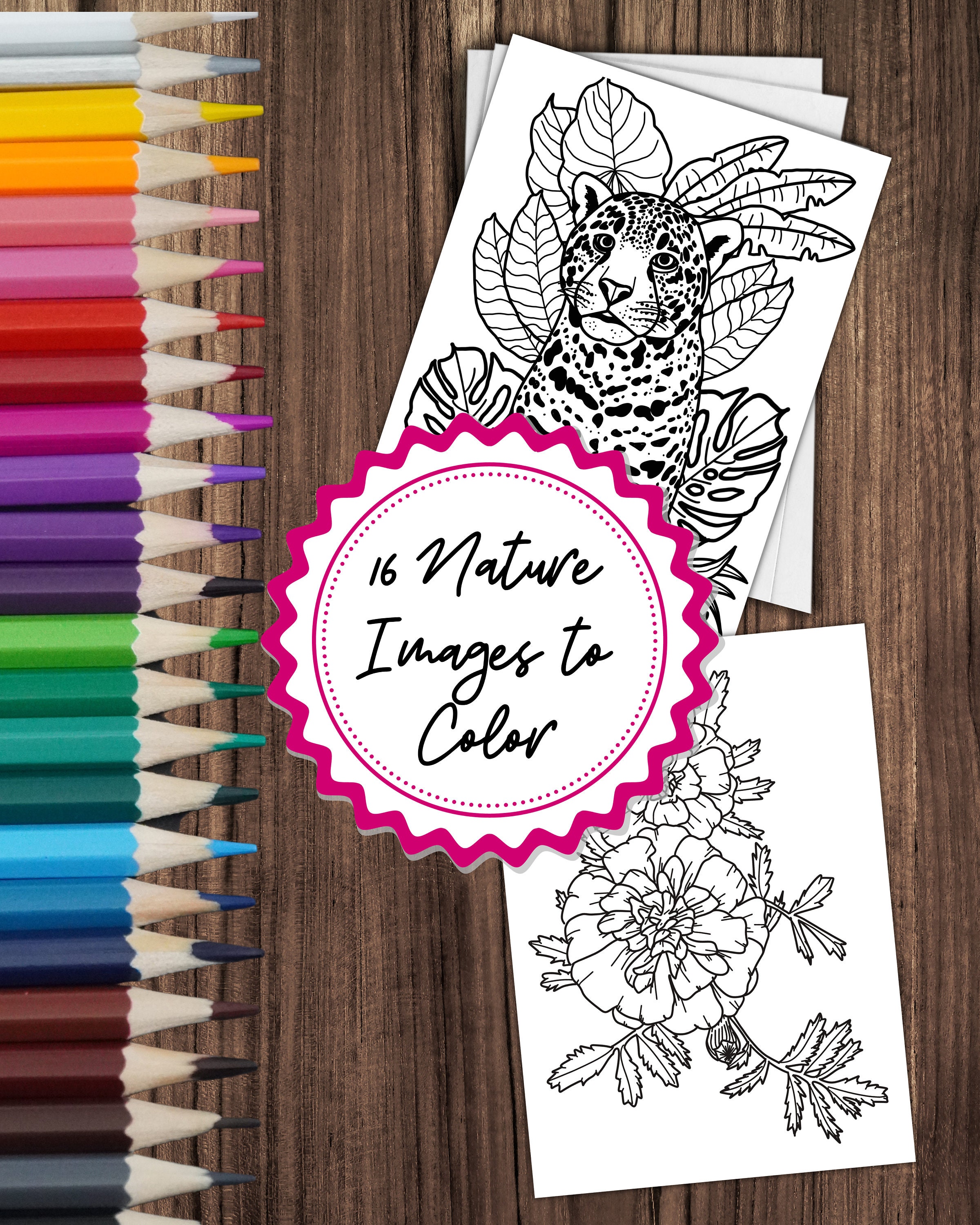 16 Mexican Nature Coloring Pages Mexico Nature Coloring Pages - Etsy