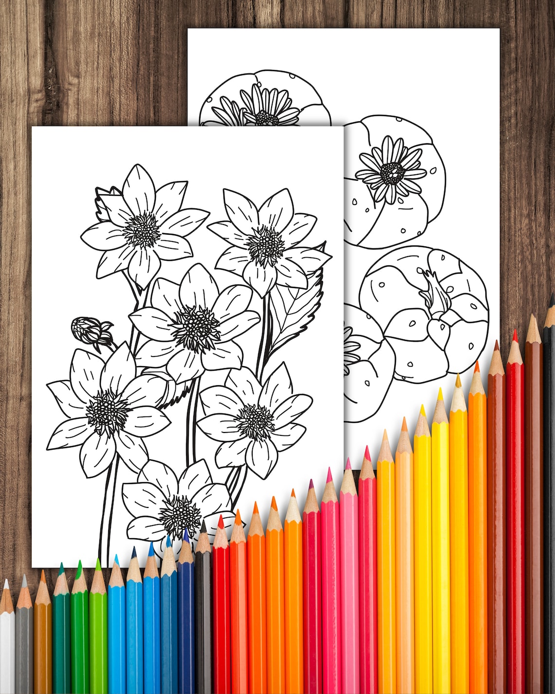 6 Mexican Flowers Coloring Pages, Mexico Nature Coloring Pages Bundle ...