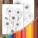 6 Mexican Flowers Coloring Pages, Mexico Nature Coloring Pages Bundle ...