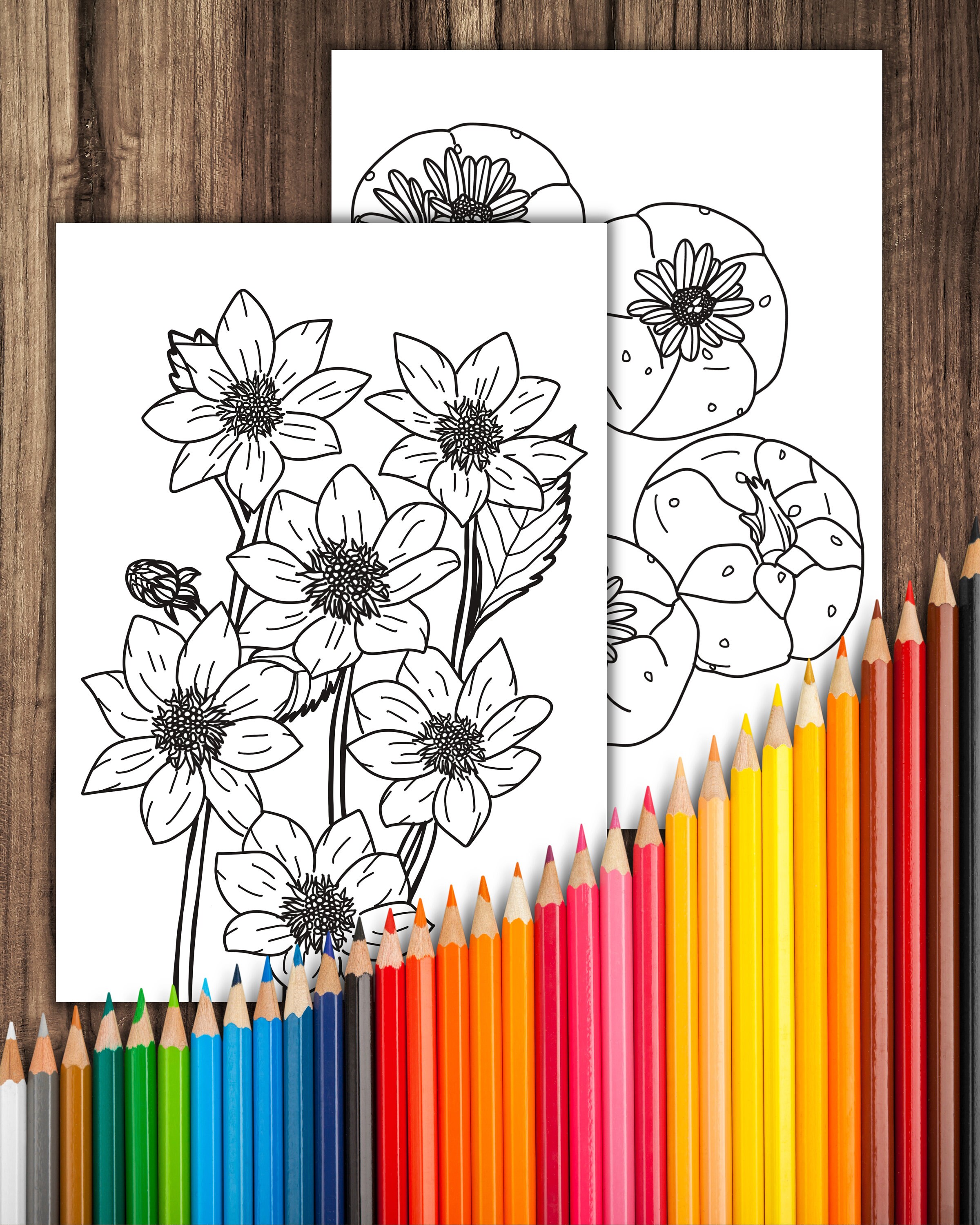 6 Mexican Flowers Coloring Pages, Mexico Nature Coloring Pages Bundle ...
