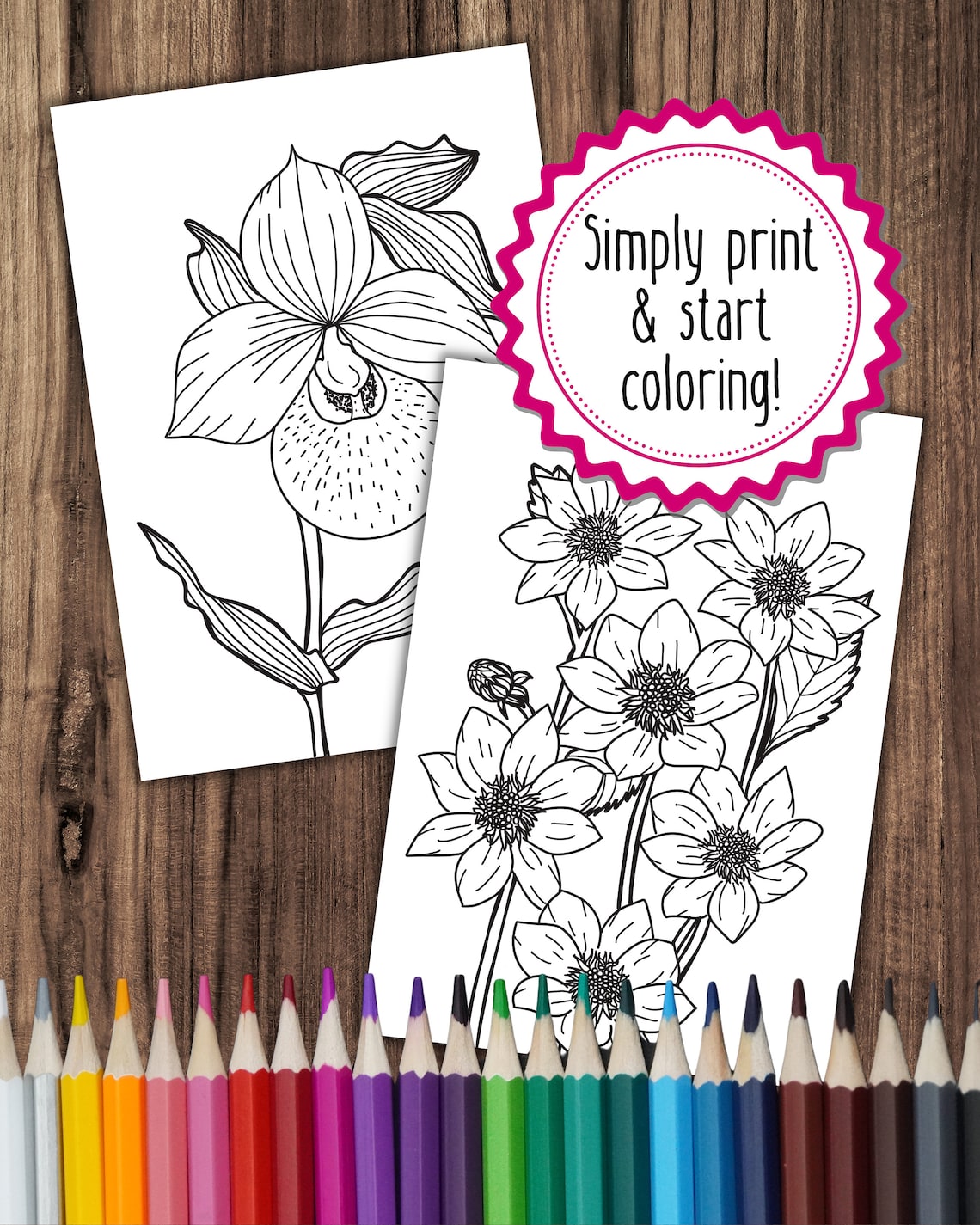 6 Mexican Flowers Coloring Pages, Mexico Nature Coloring Pages Bundle ...