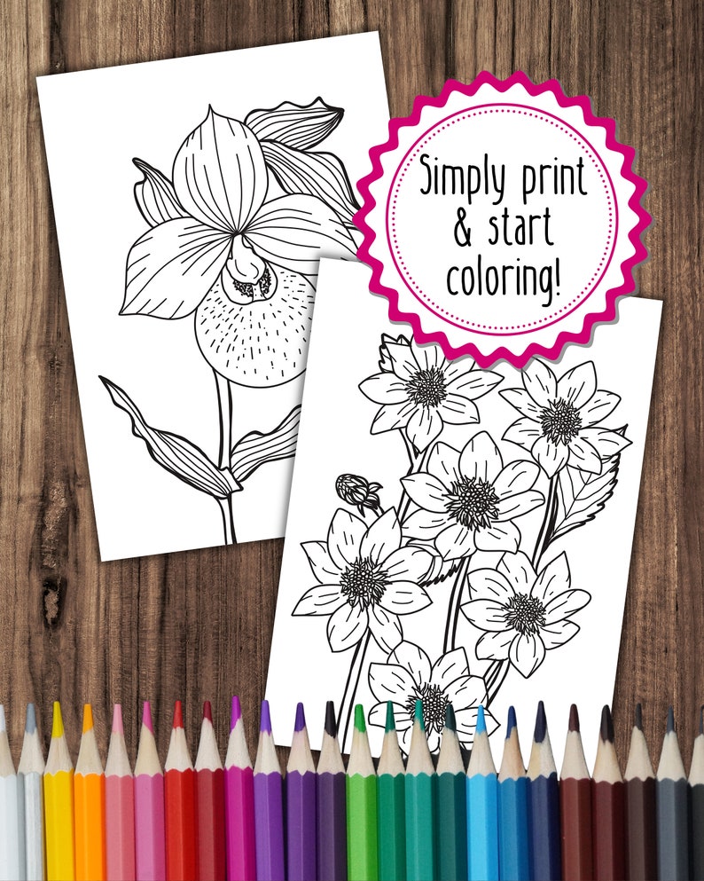 6 Mexican Flowers Coloring Pages, Mexico Nature Coloring Pages Bundle ...