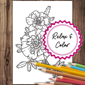6 Mexican Flowers Coloring Pages, Mexico Nature Coloring Pages Bundle ...