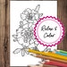6 Mexican Flowers Coloring Pages, Mexico Nature Coloring Pages Bundle ...