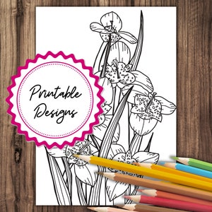 6 Mexican Flowers Coloring Pages, Mexico Nature Coloring Pages Bundle ...