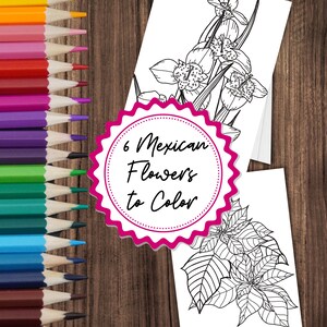 6 Mexican Flowers Coloring Pages, Mexico Nature Coloring Pages Bundle ...