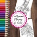 6 Mexican Flowers Coloring Pages, Mexico Nature Coloring Pages Bundle ...