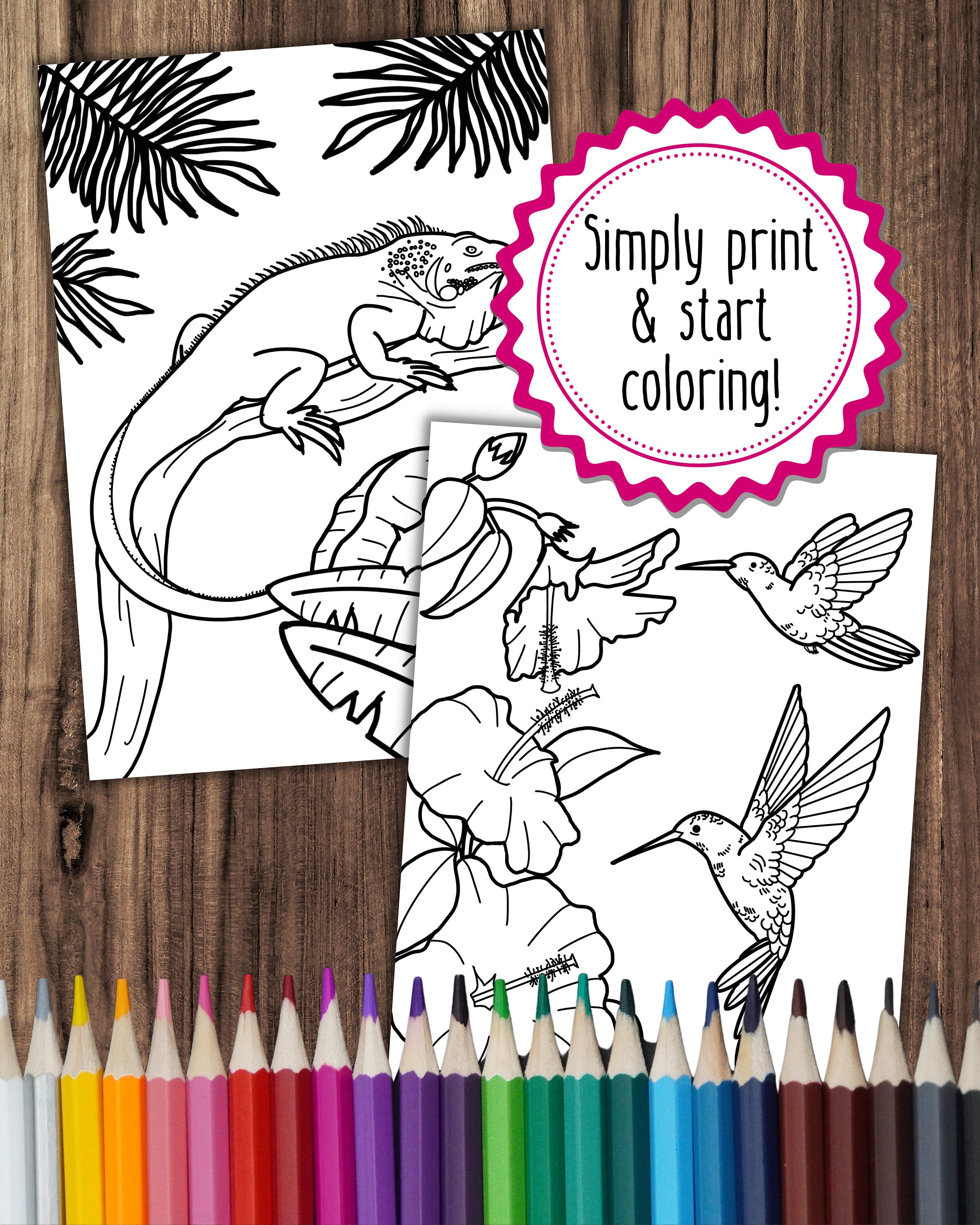 10 Mexican Animals Coloring Pages, Mexico Nature Coloring Pages Bundle ...