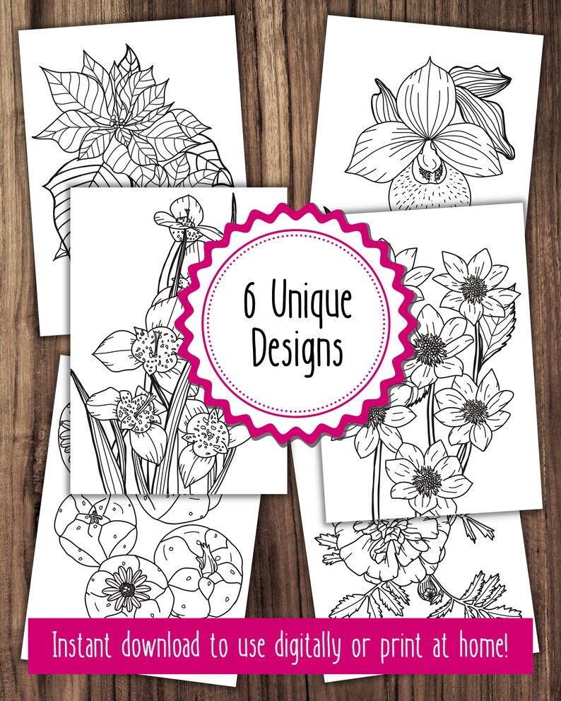6 Mexican Flowers Coloring Pages, Mexico Nature Coloring Pages Bundle ...