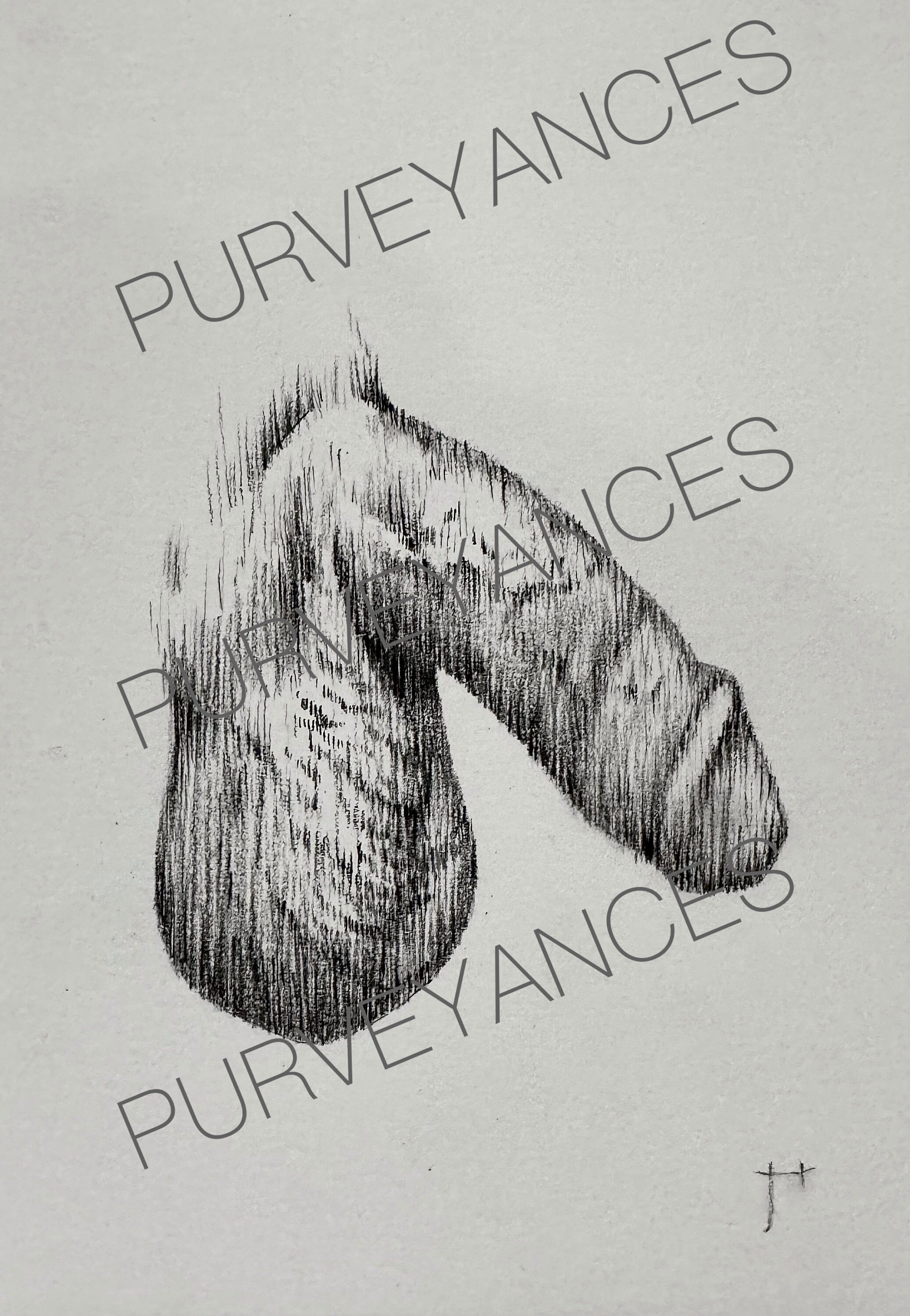 Custom Penis Art Personal Cock Drawing Charcoal Sketch Etsy