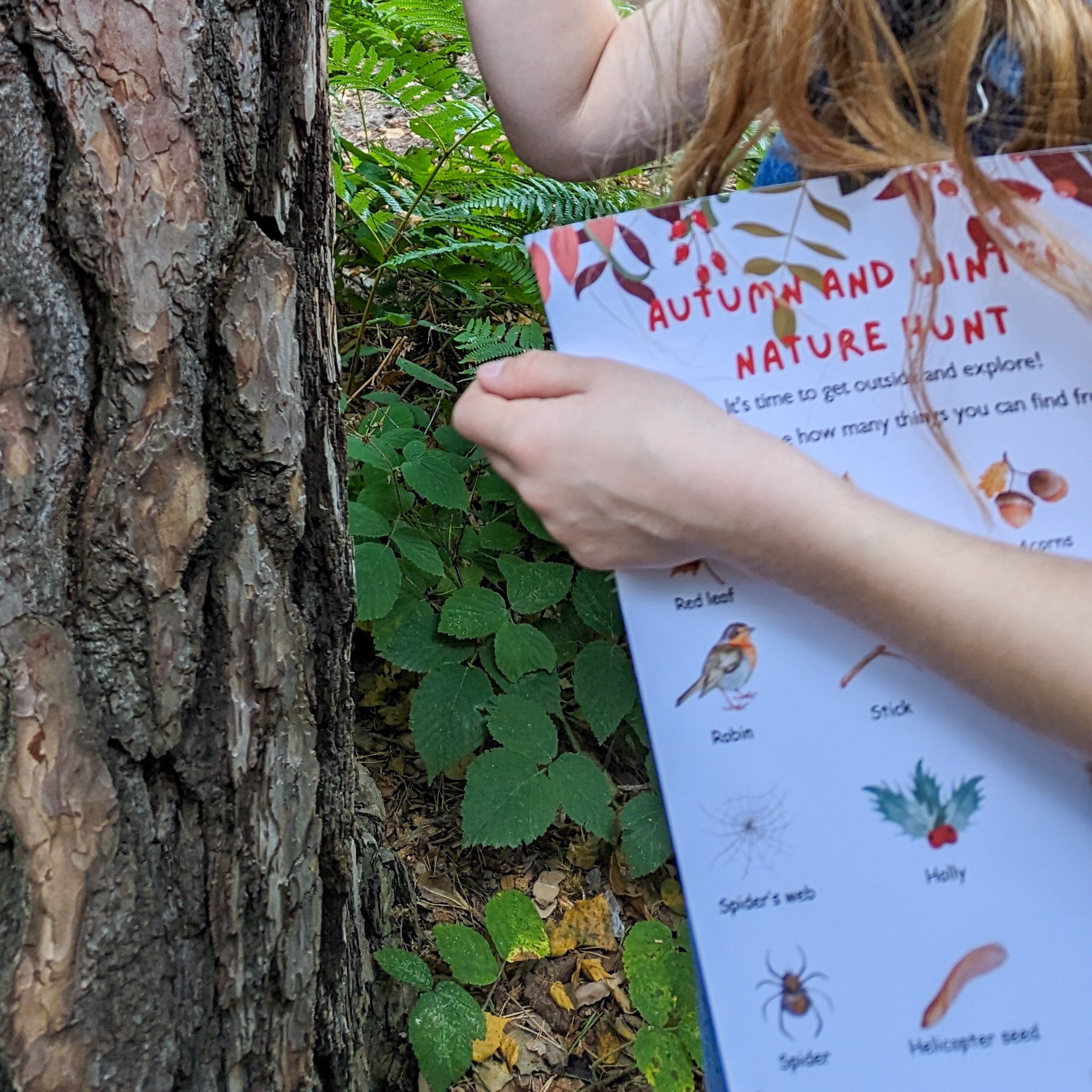 Nature Scavenger Hunt / Outdoor Activity for Kids / Children's Party ...