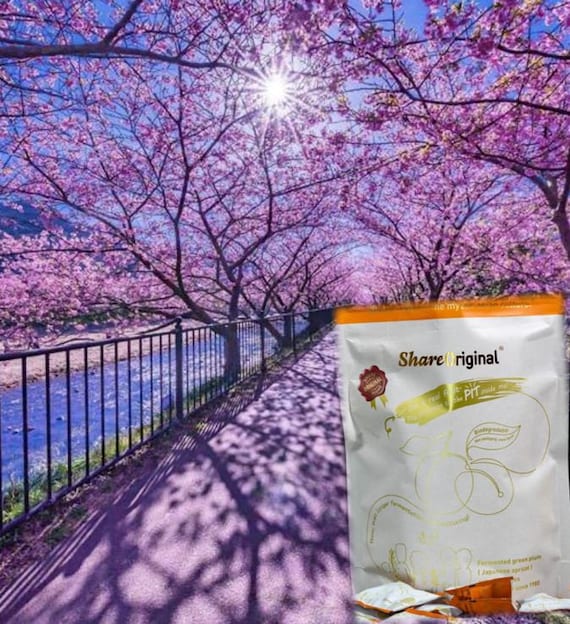 Share Original Fermented Japanese Apricot green Plum Made in - Etsy