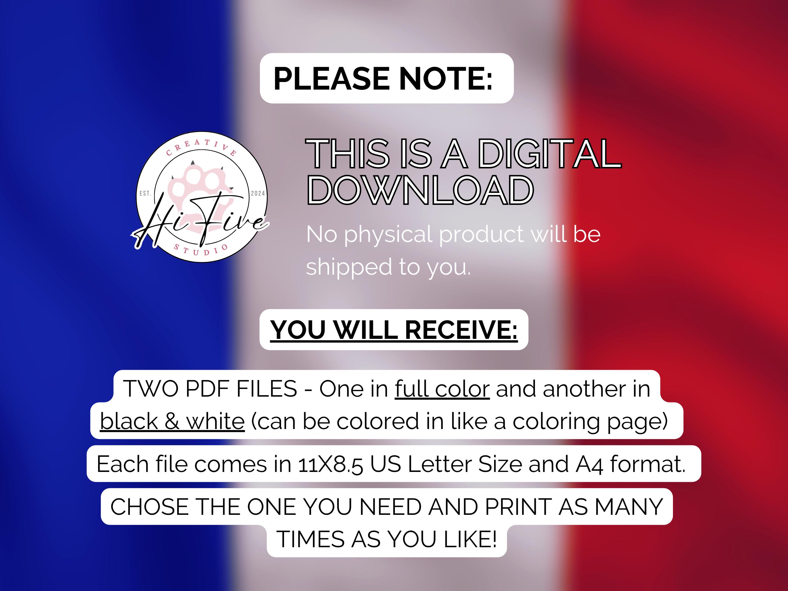 2024 Summer Games Handprint Art Paris Olympics Handprint Craft for ...