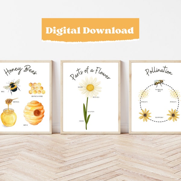 Honey Bee Unit - Etsy