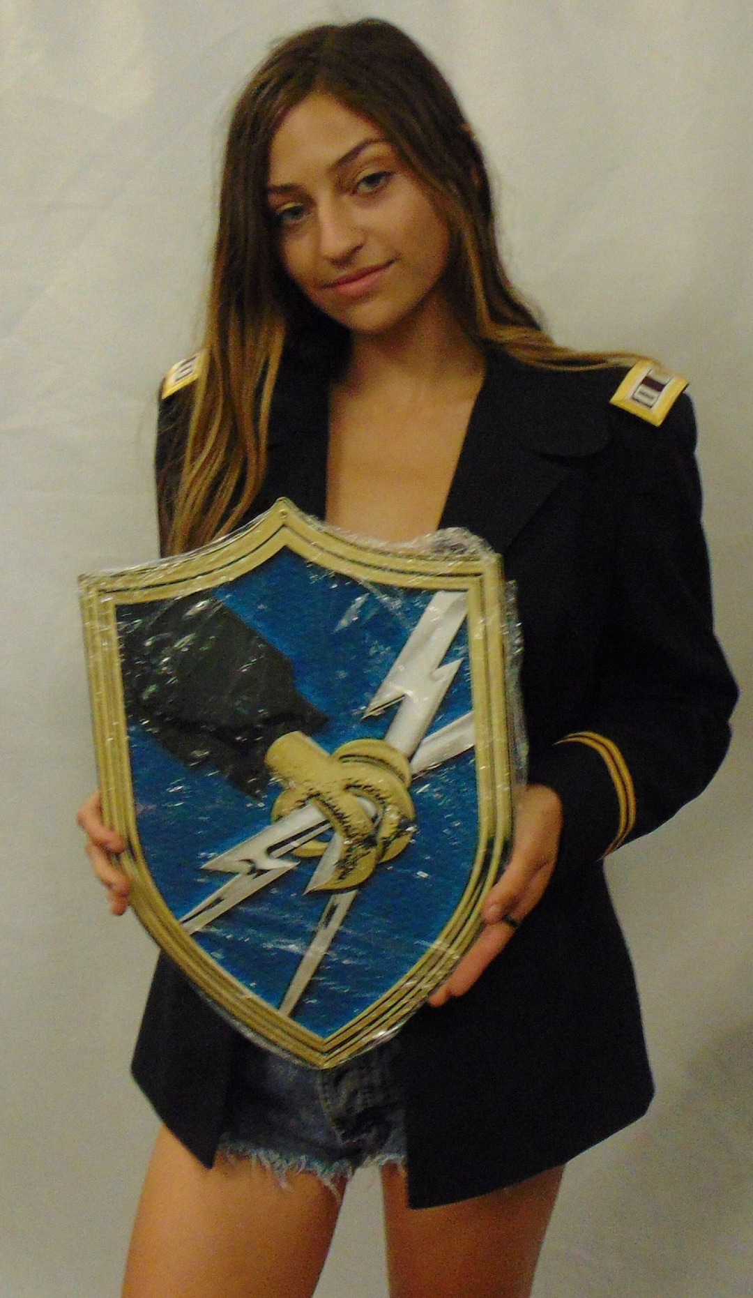 Army Security Agency Patch All Metal Sign 12 X 17" - Etsy