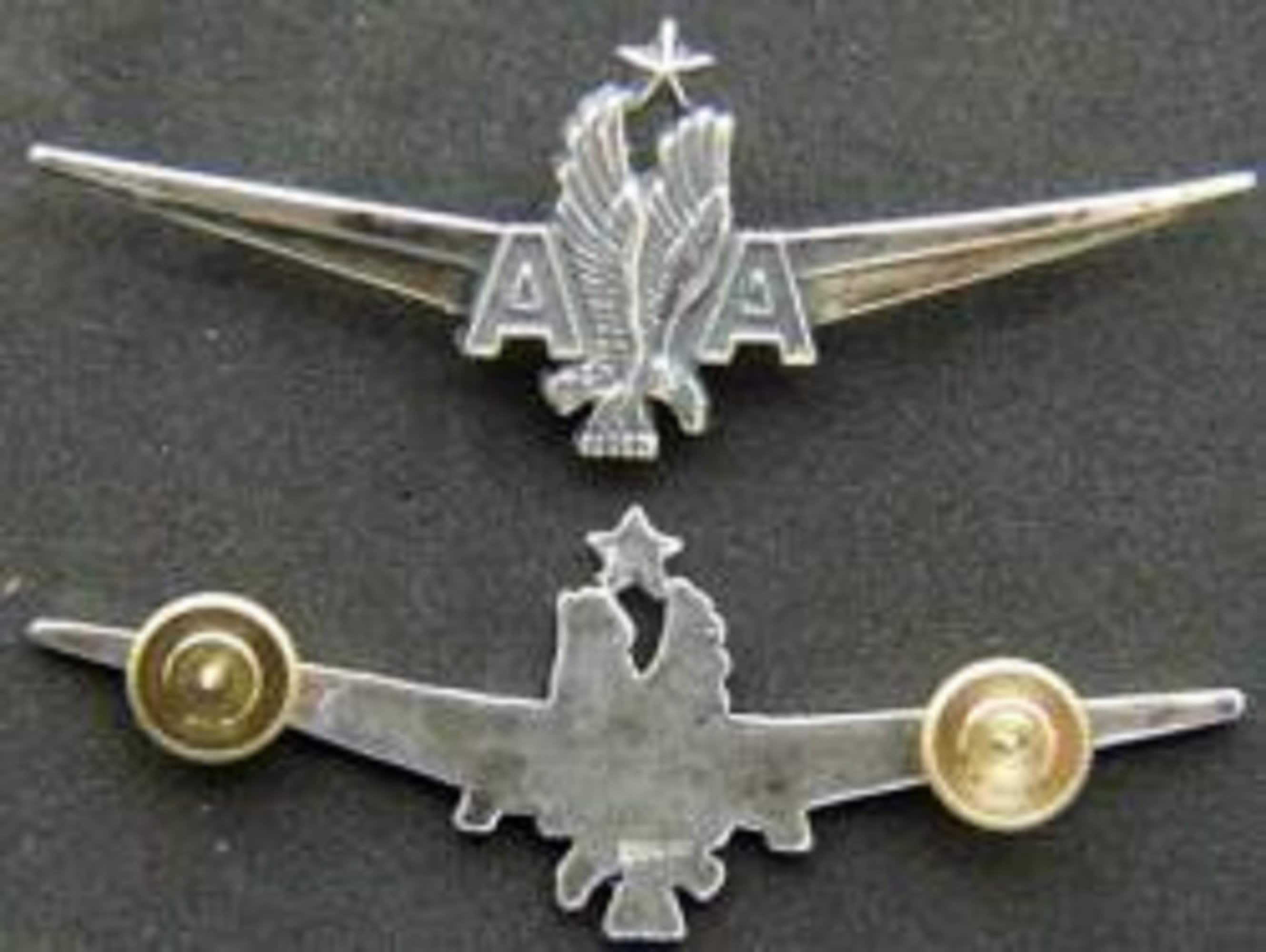 American Pilot Wings