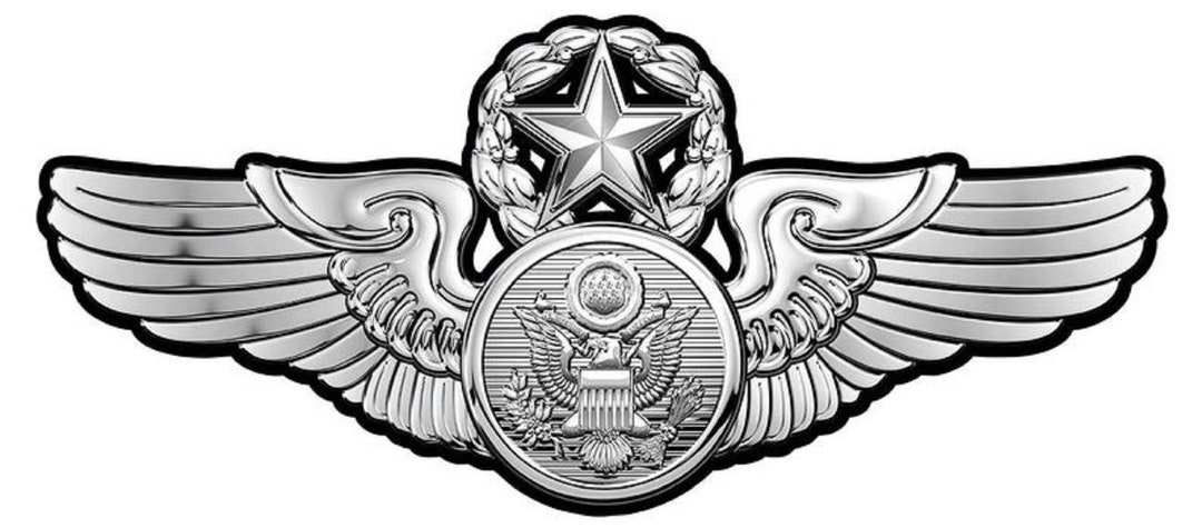 Air Force Chief Enlisted Aircrew Basic Wings All Metal Sign (large) 17 ...