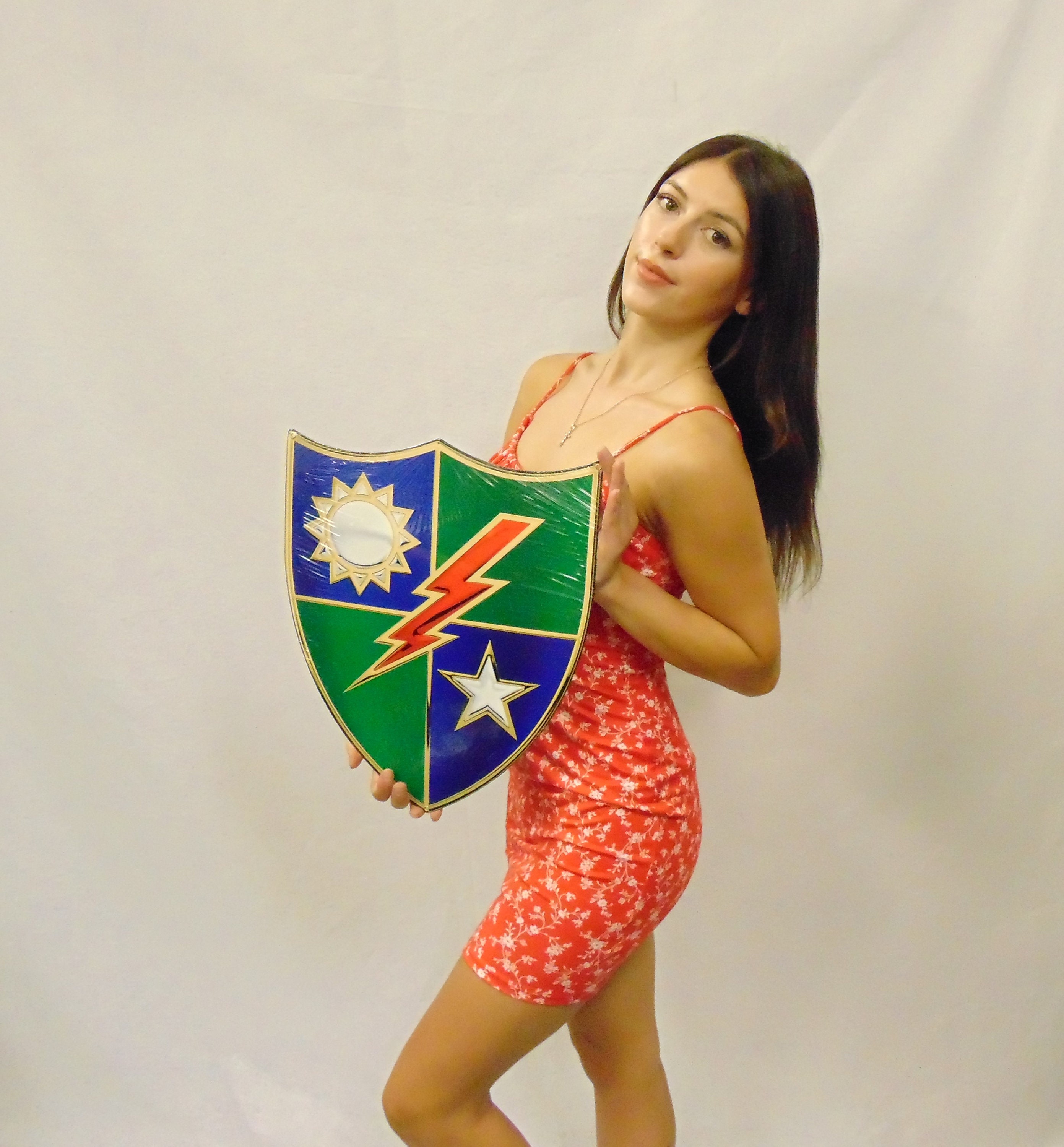 75TH RANGER REGIMENT Crest Metal Sign All Metal Sign 16 X - Etsy