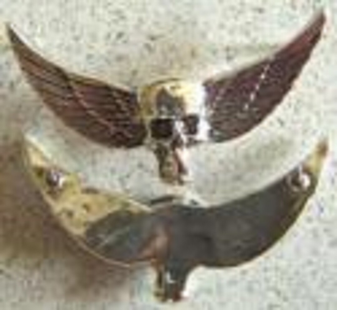 Vietnam SF MACV-SOG Skull Wings Badge Sterling - Etsy