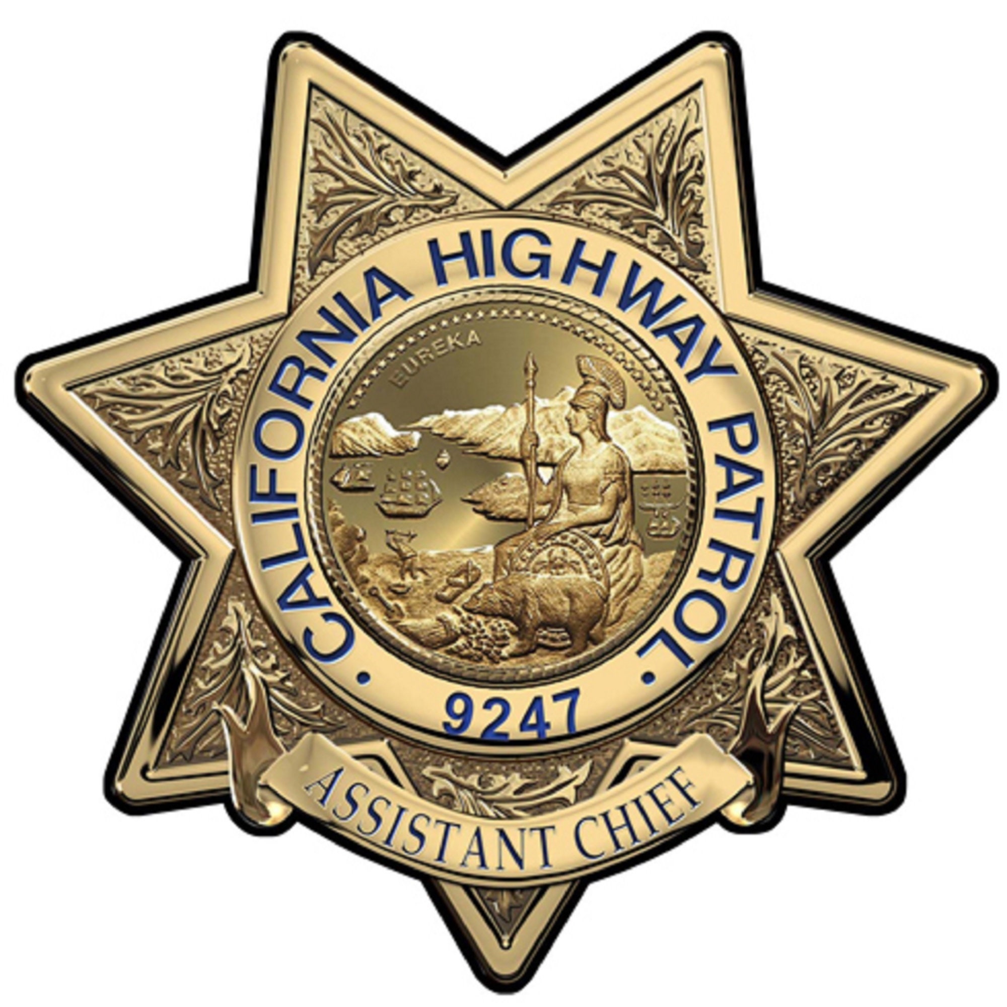 California Highway Patrol assistant Chief Badge All Metal Sign With ...