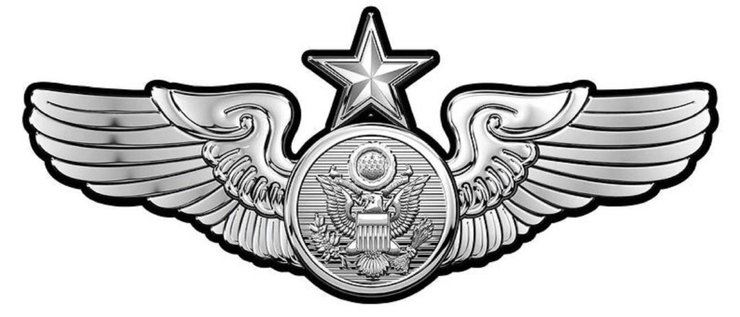 Air Force Senior Enlisted Aircrew Wings All Metal Sign (large) 17 X 7 ...