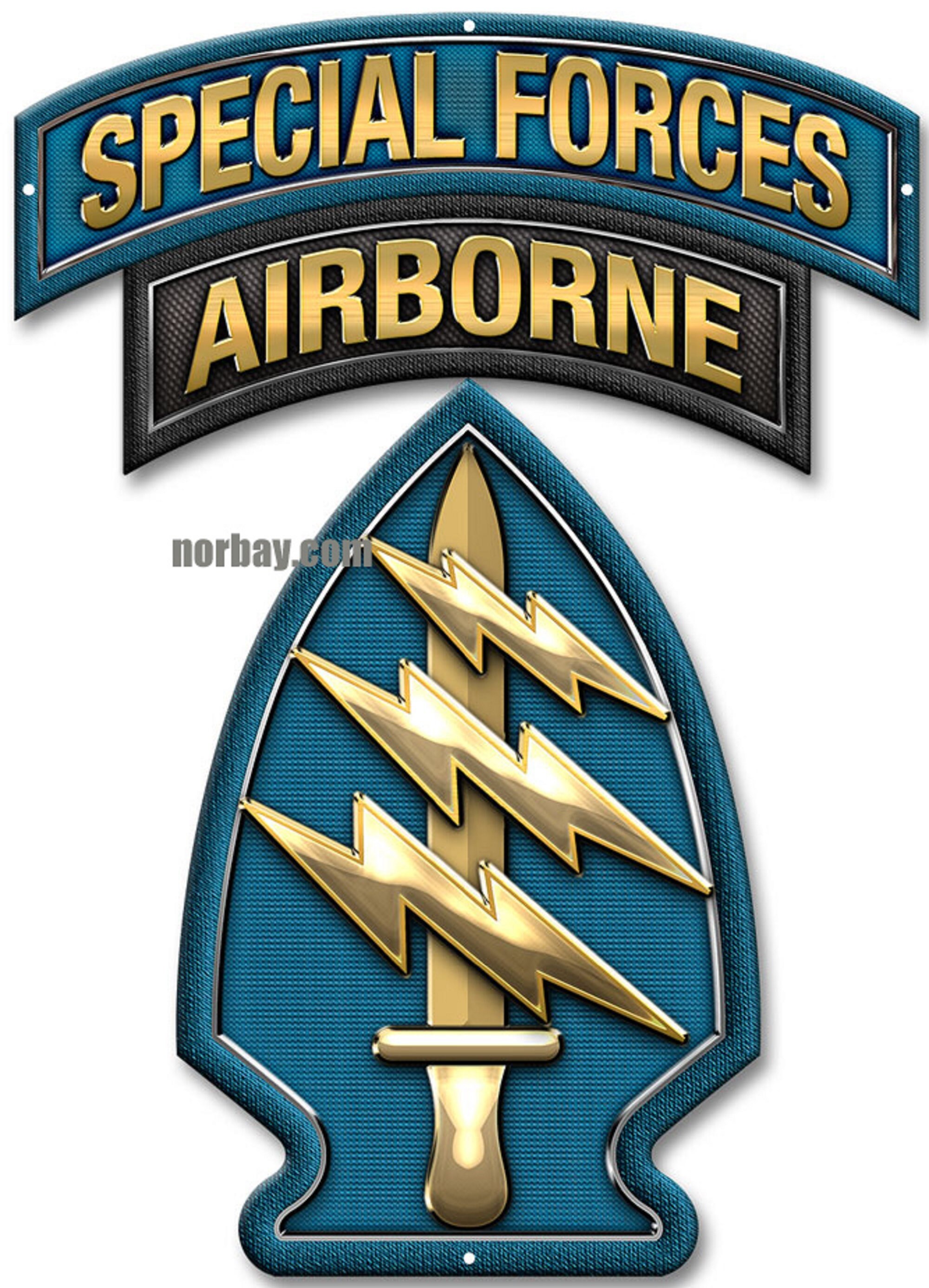 Special Forces SSI Patch Metal Sign Small 5 X 7 - Etsy