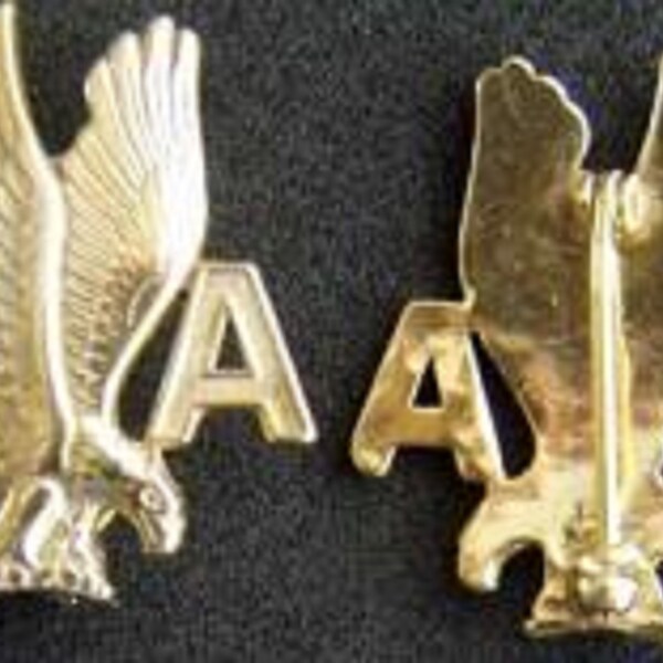 American Airlines Pin - Etsy