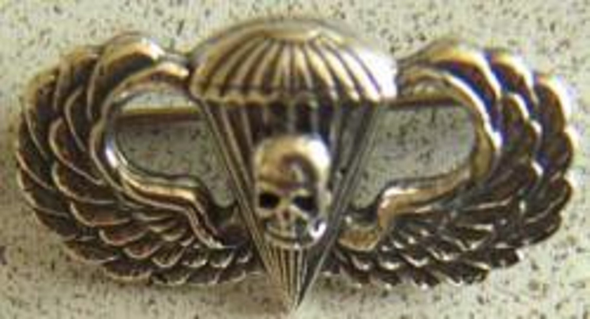 WWII Paratrooper Pathfinder Badge With Skull Sterling - Etsy