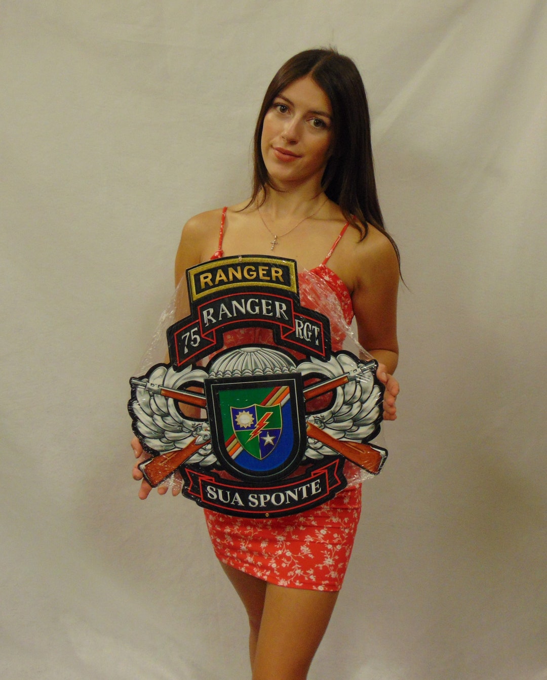 75th Ranger Rgt. Combo Metal Sign All Metal Sign 16 X - Etsy