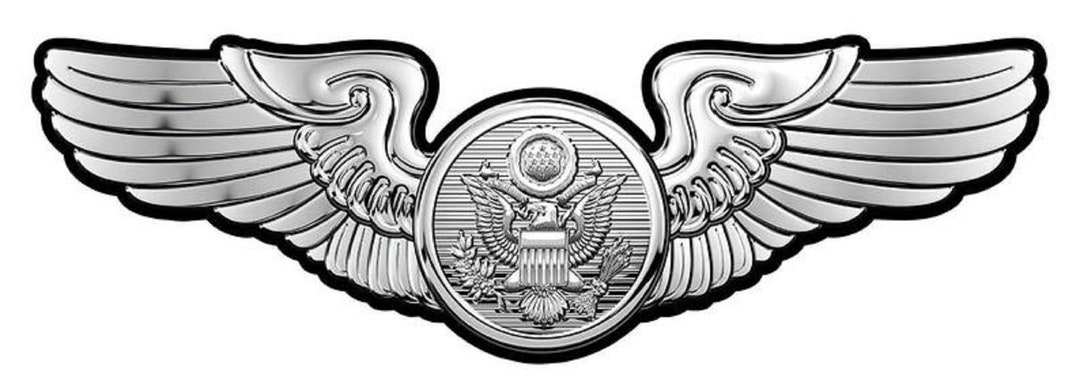 Air Force Enlisted Aircrew Basic Wings All Metal Sign (small) 7 X 2" - Etsy