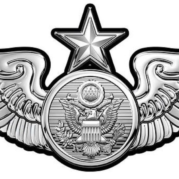Senior Aircrew Wings - Etsy