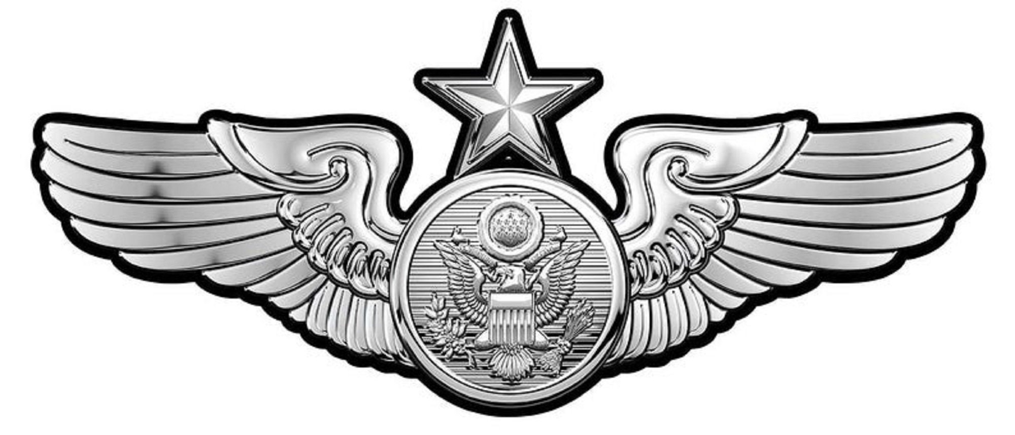 Air Force Senior Enlisted Aircrew Wings All Metal Sign small - Etsy