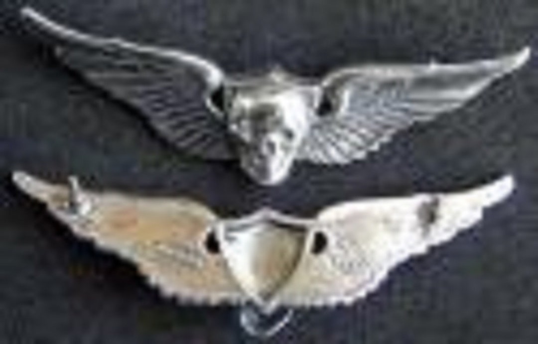MACV SOG RT Florida Wing Badge Sterling - Etsy