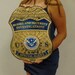 Homeland Security Investigations Special Agent Badge All Metal Sign. 13 ...