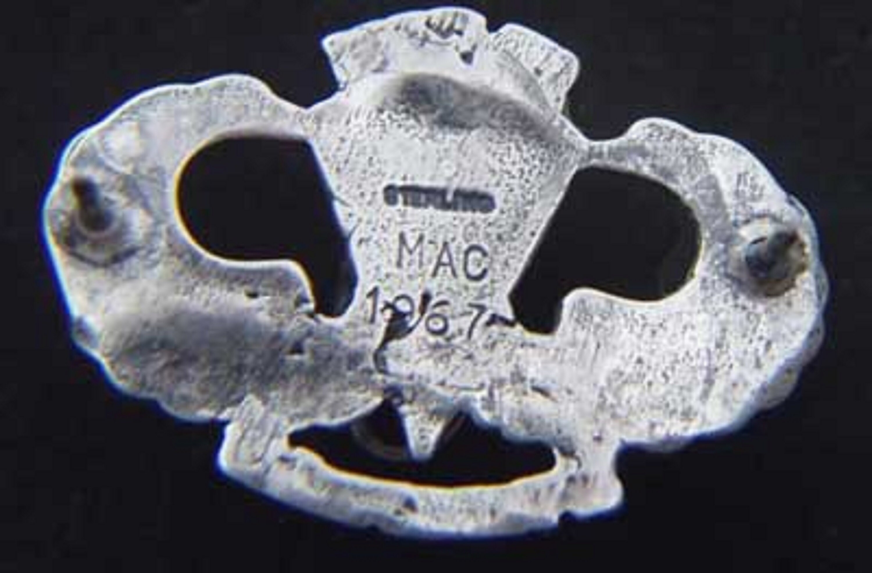 Special Force MACVSOG 1967 Paratrooper Skull Badge Sterling - Etsy