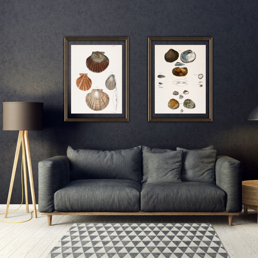 Seashell Wall Art Print Set of 2 Beautiful Antique Sea Shell, Digital ...