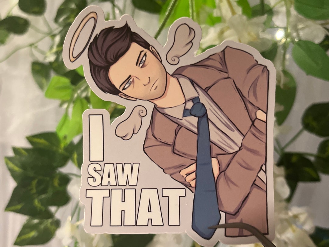 Supernatural Castiel Funny Meme Sticker - 3.5x4 Vinyl Decal - I Saw ...