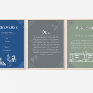 Poetry Genre Posters, Types of Poetry, English Classroom Décor, Library ...