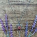 Whimsigoth Style Tiered Cherry Quartz Crystal Beaded Necklace in Silver ...